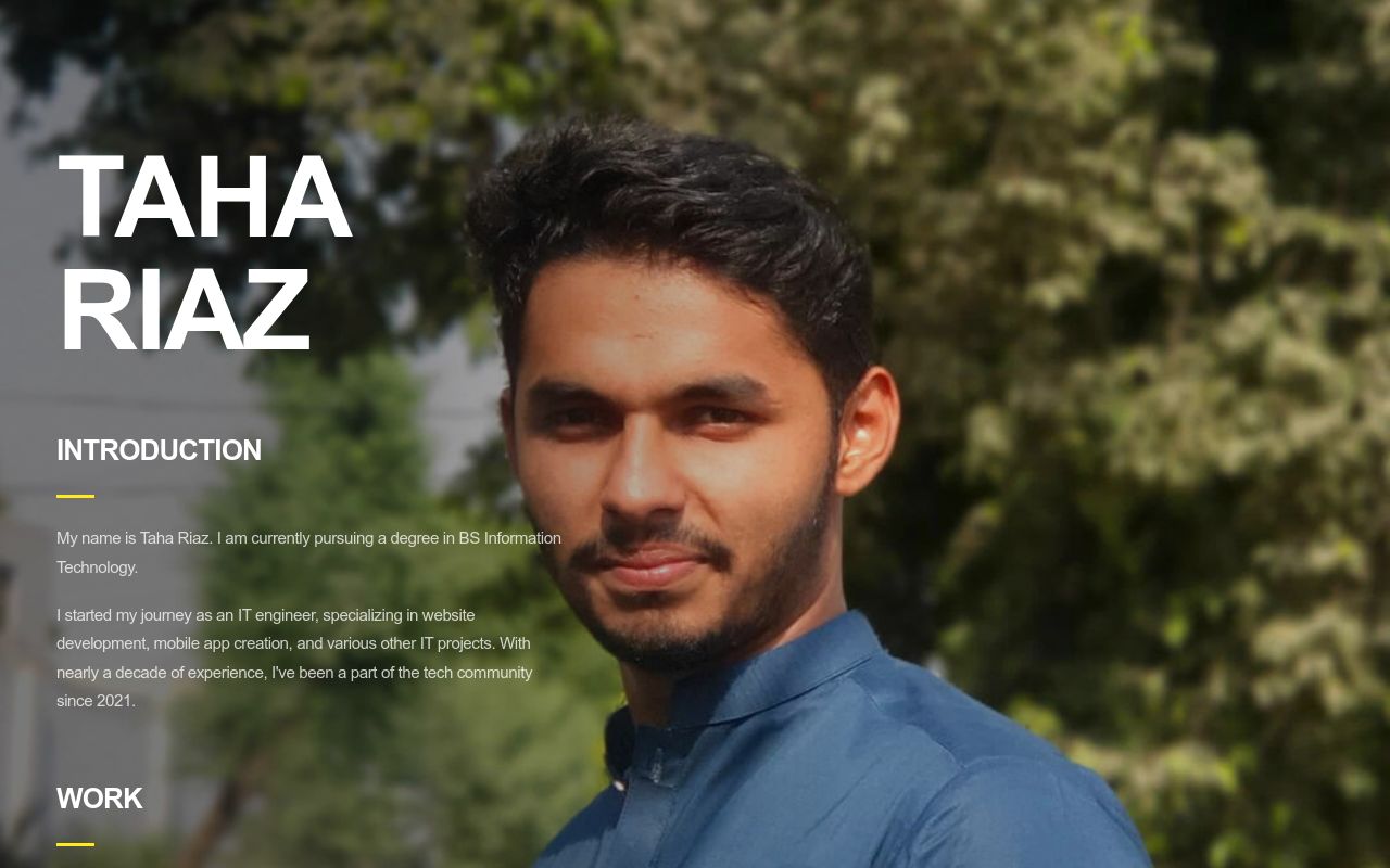 Rao Taha Riaz , IT Engineer